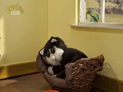 Jess Cat GIFs - Get the best GIF on GIPHY