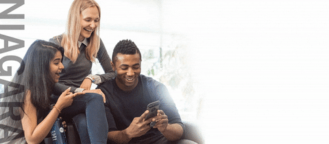Niagara-college GIFs - Get the best GIF on GIPHY