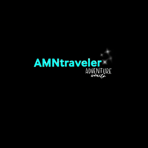 AMN Traveler GIFs on GIPHY - Be Animated