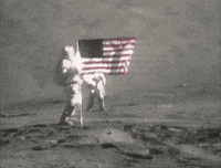 Lmanburg Flag Burning Gif