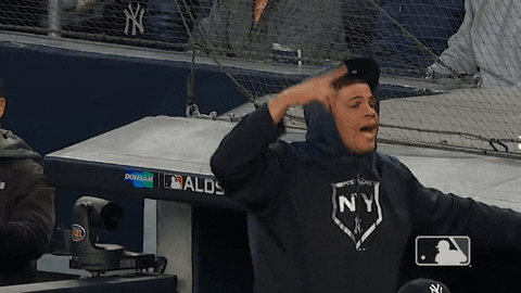 Banging New York Yankees GIF by MLB - Find & Share on GIPHY