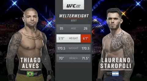 UFC GIF - Find & Share on GIPHY