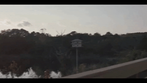 Jim Hopper GIFs - Get the best GIF on GIPHY