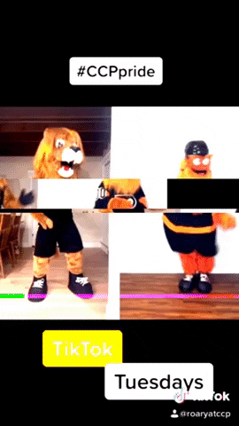 Ccp GIF by @CCPedu - Find & Share on GIPHY