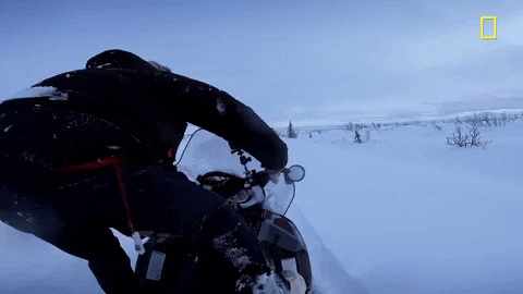 Snowmobiling GIFs - Get the best GIF on GIPHY