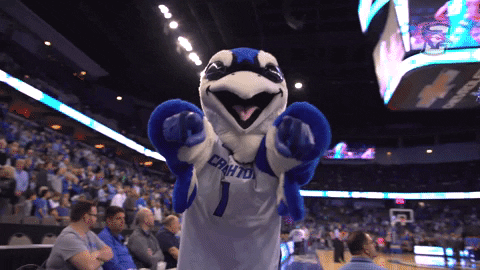 Creighton Bluejays GIF by Creighton University - Find & Share on GIPHY