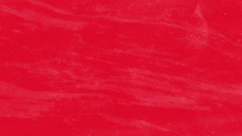 Abolition Action GIFs - Get the best GIF on GIPHY