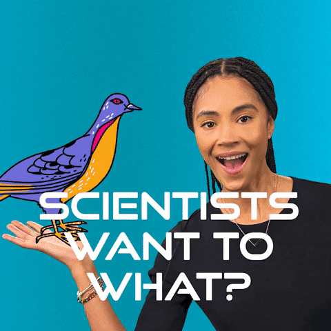 Far Out GIFs on GIPHY - Be Animated