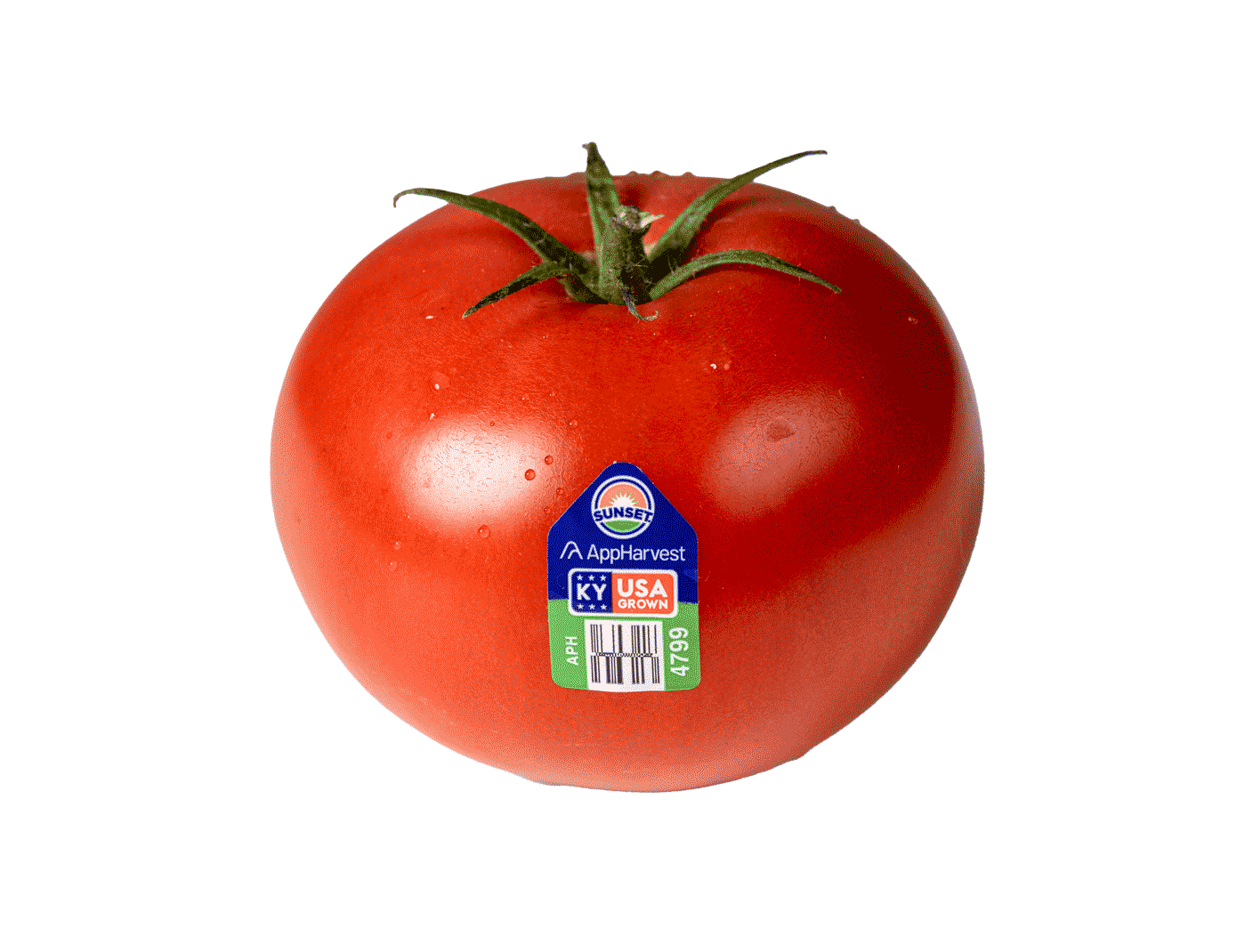 Animated Tomato Gif