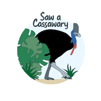 Queensland GIFs on GIPHY - Be Animated