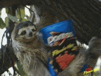 Sloth Gif Deal With It