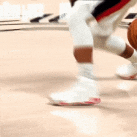 Damian Lillard Crossover Gif