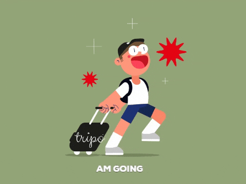Travel Going GIF by tripo - Find & Share on GIPHY