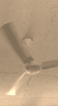 Wobbly Ceiling Fan Gif | Shelly Lighting
