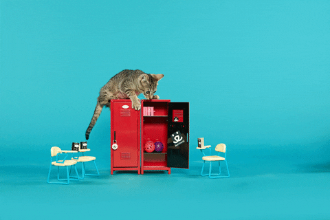 Excited Back To School GIF by Best Friends Animal Society - Find ...