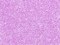 Computation GIFs - Get the best GIF on GIPHY