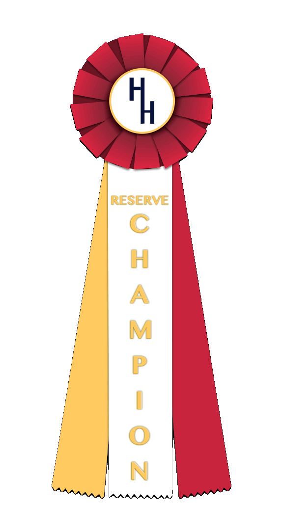 Champion Hhs Sticker by HapHansenStables for iOS & Android | GIPHY