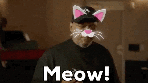 Samuel L Jackson Meow GIF by Kids' Choice Awards - Find & Share on GIPHY