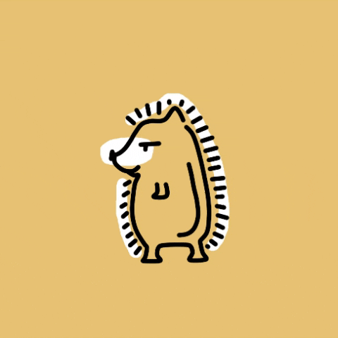 Sixtones GIFs - Get the best GIF on GIPHY