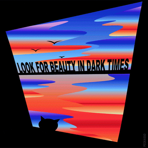 No-time-animated-meme GIFs - Get the best GIF on GIPHY