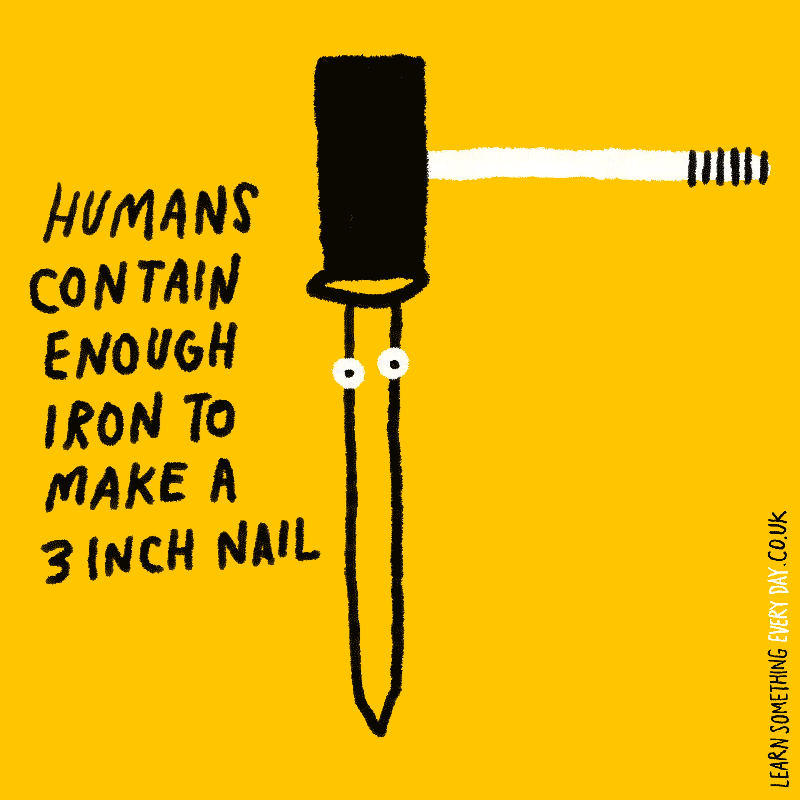 Learn Something Every Day GIFs - Find & Share on GIPHY