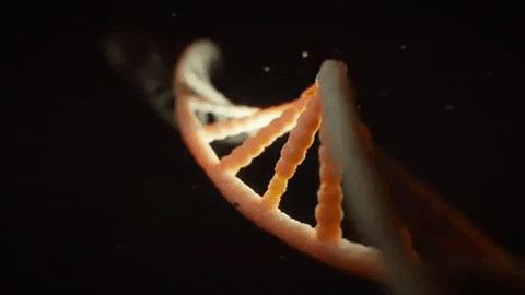 Base Pairs GIFs - Get the best GIF on GIPHY