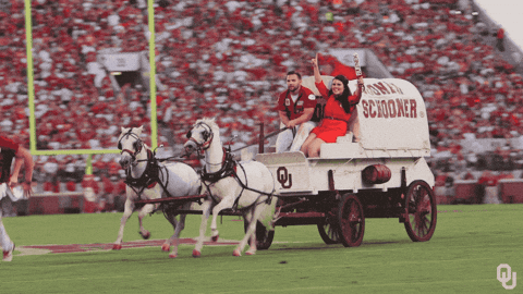 Uofoklahoma GIFs - Get the best GIF on GIPHY