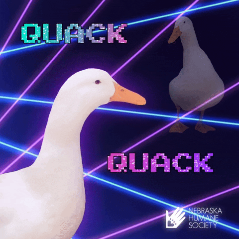 Duck You GIFs - Get the best GIF on GIPHY