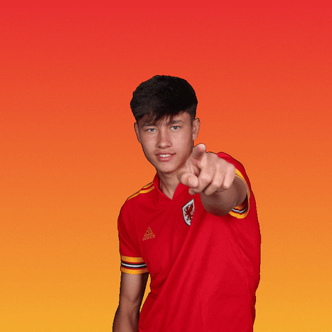 Cardiff-city-fc GIFs - Get the best GIF on GIPHY