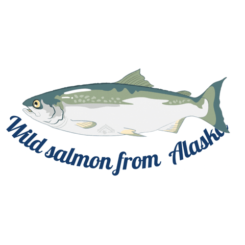 Wild Salmon GIFs - Get the best GIF on GIPHY