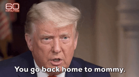 Back-home GIFs - Get the best GIF on GIPHY