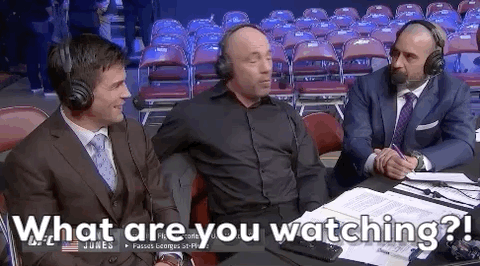 What Are You Watching Joe Rogan GIF by UFC - Find & Share on GIPHY