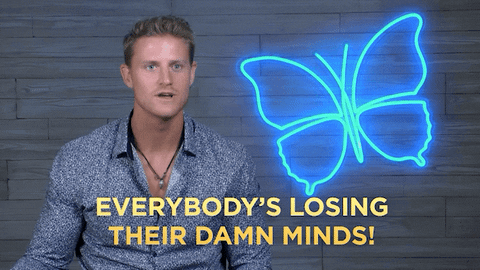 Losing Their Minds GIFs - Get the best GIF on GIPHY