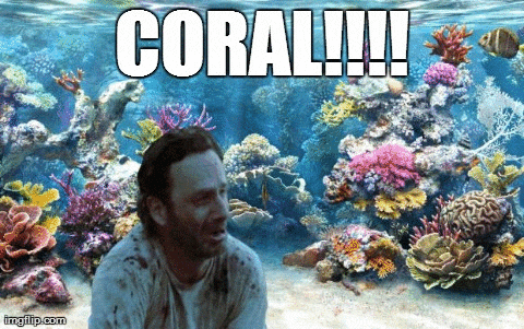 Walking Dead Memes Rick And Carl Shellfish