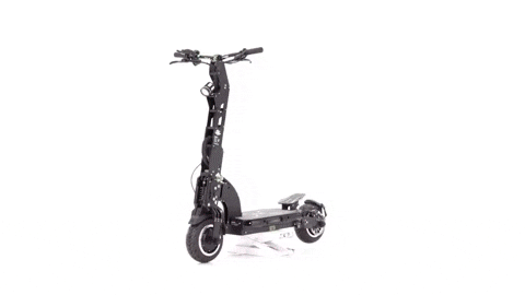 Panther Segway GIF by FREEMOTION - Find & Share on GIPHY