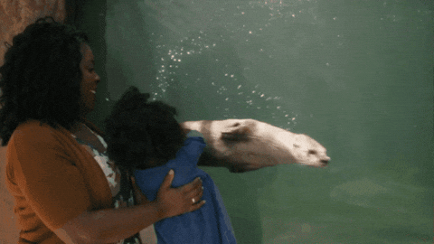 Virginia Living Museum GIFs on GIPHY - Be Animated