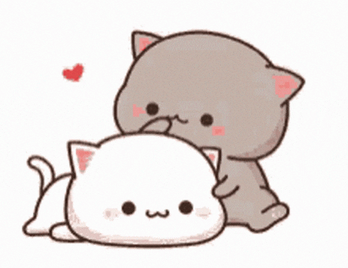Cutie-cat GIFs - Get the best GIF on GIPHY