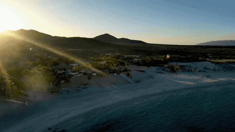 Paradise Tours GIFs - Get the best GIF on GIPHY