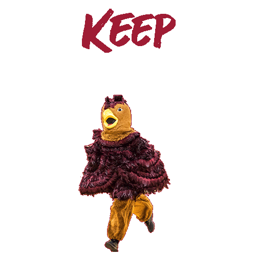 Go Hawks Sticker by Saint Josephs University for iOS & Android | GIPHY