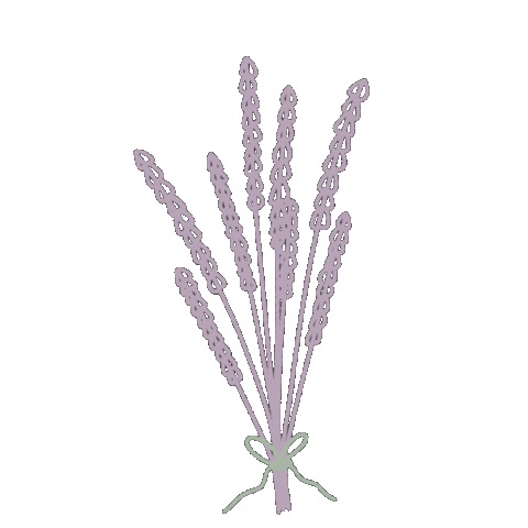 Flowers Lavender Sticker for iOS & Android | GIPHY