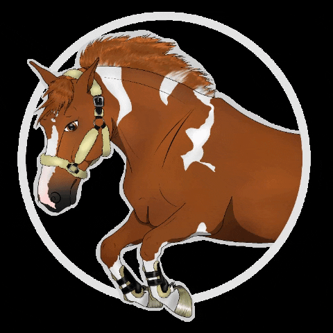 Harness Pony GIFs - Find & Share on GIPHY