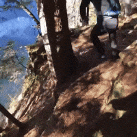 Cliff Diving Tumblr Gif