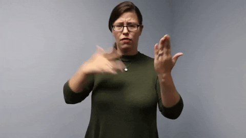 Asl Disagree GIF - Find & Share on GIPHY