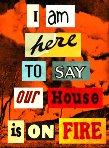 Auckland-libraries GIFs - Get the best GIF on GIPHY