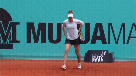 WTA GIF - Find & Share on GIPHY