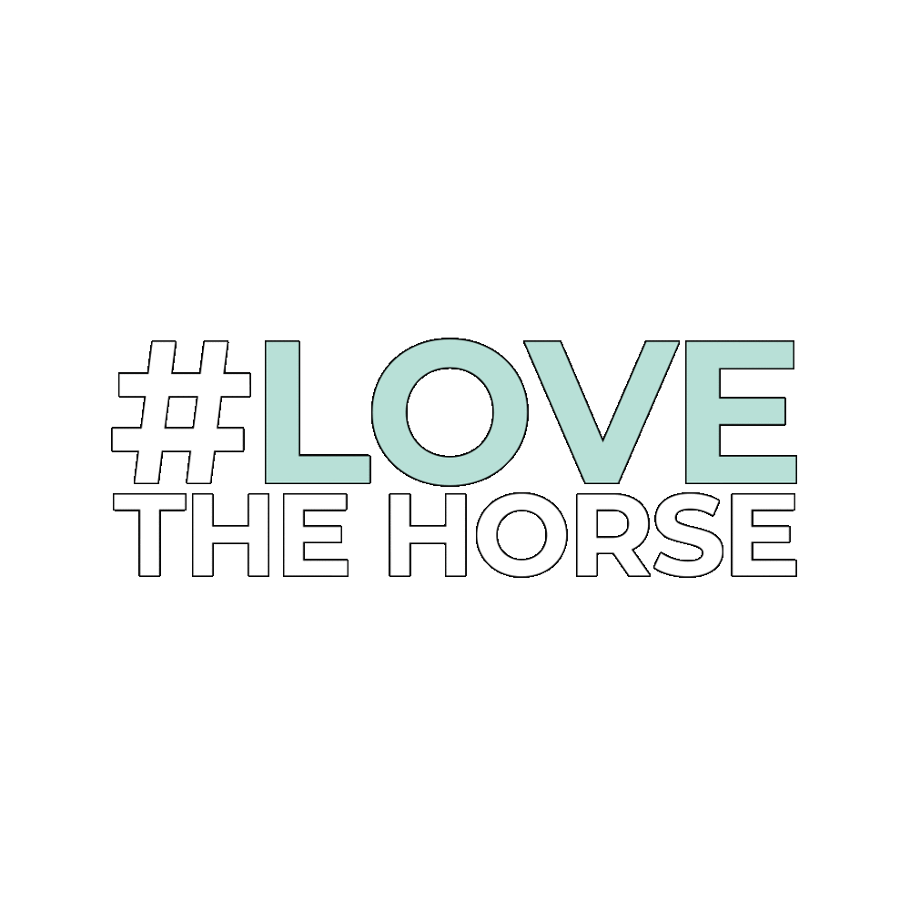 Melbourne Cup Sticker by Flemington VRC for iOS & Android | GIPHY