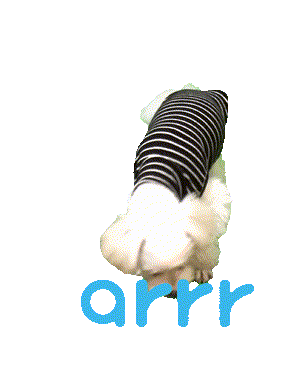 아르르 Sticker by arrr_official for iOS & Android | GIPHY