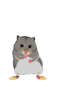 Hamster Dance Gif