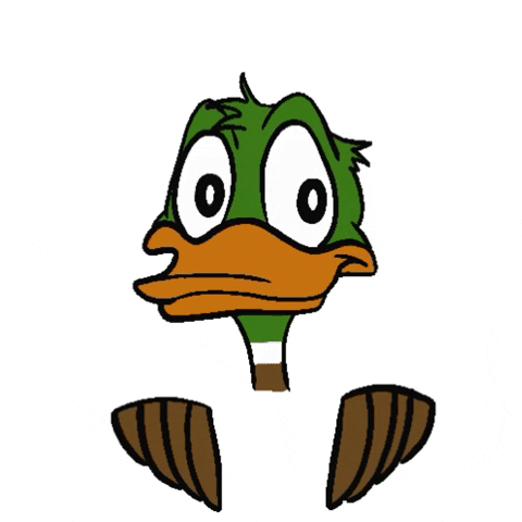 Aligned Design Studio GIFs on GIPHY - Be Animated