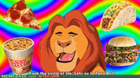 Circle Of Life Lion King Gif